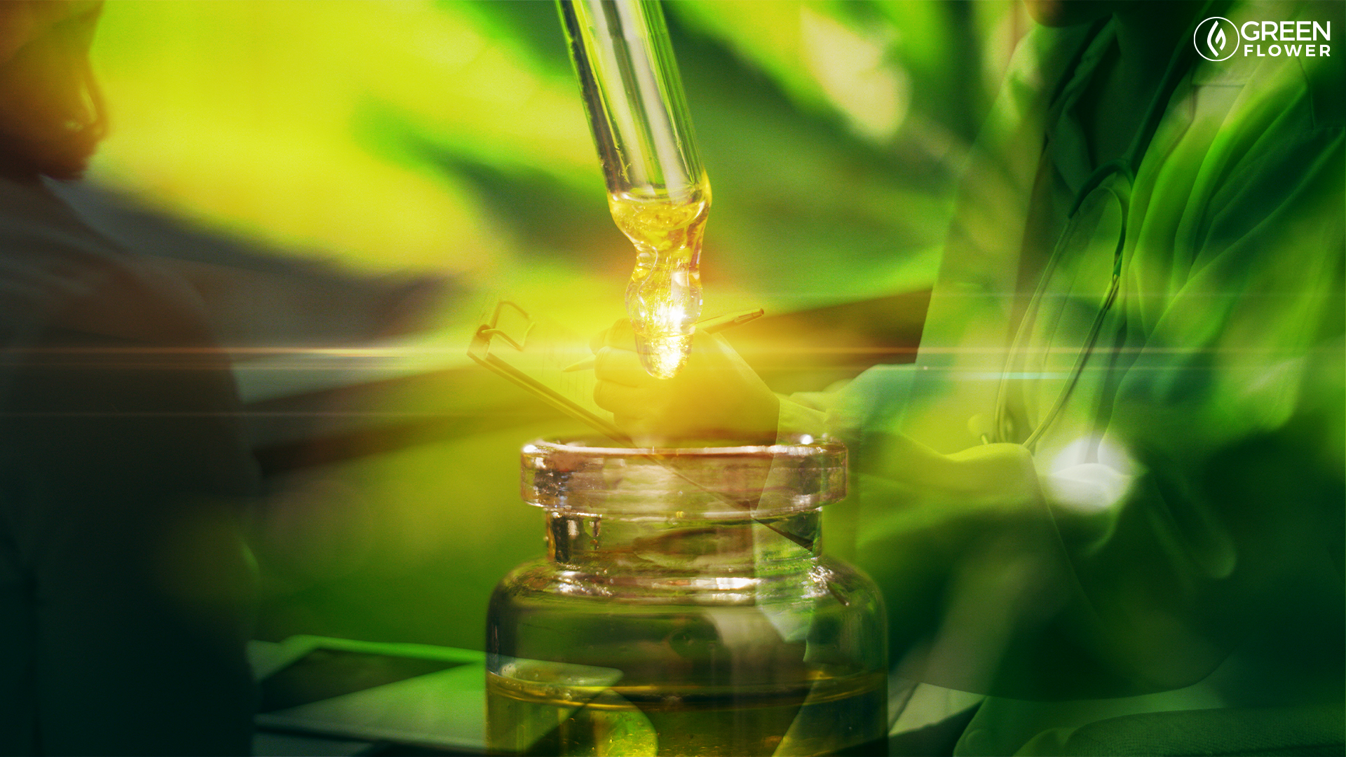 Medical Cannabis - Phyto Partners